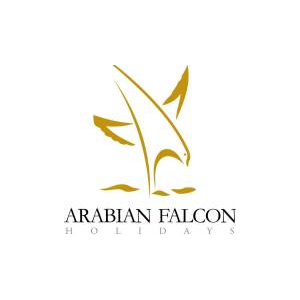 Arabian Falcon Careers (2023) - Bayt.com
