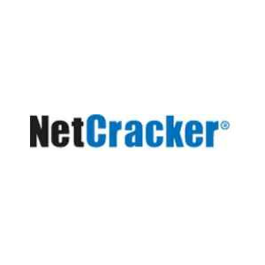 NetCracker Technology Careers (2023) - Bayt.com