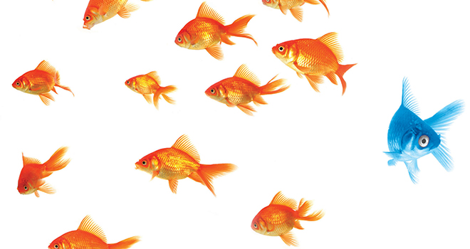 10 Ways to Promote Innovation at Your Workplace - Bayt.com Blog