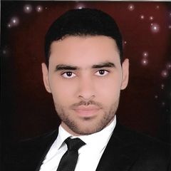 Ahmed Fadel - Bayt.com