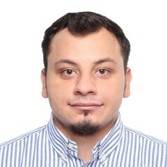 Ali Ramadan - Bayt.com