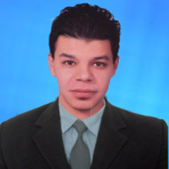 Mostafa Darwish - Bayt.com