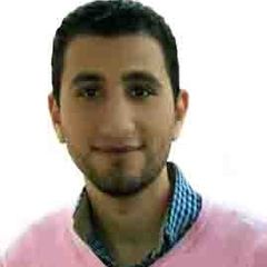 Ibrahim Elsayed Bayt