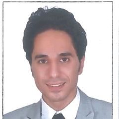 Hesham Mohamed Amin Mahmoud - Bayt.com