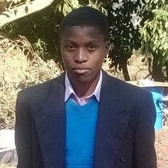 Mlungisi Dlamini - Bayt.com