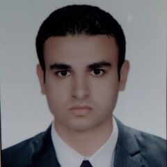 Hussein Ibrahim Fathy Ibrahim Heneish - Bayt.com