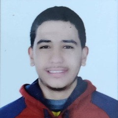 Karim Sayed - Bayt.com