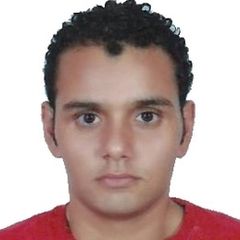 mohammad shaaban saleh el-khwagah - Bayt.com