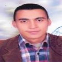 alaa helmy abd el-hamid rabia - Bayt.com