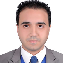 HESHAM ALY HUSSEIN ELGHOURY - Bayt.com