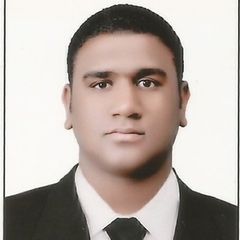 alaa atallah sayed hamed - Bayt.com